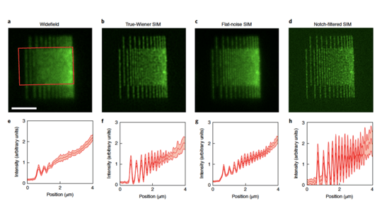 New paper: Structured illumination microscopy with noise-controlled image reconstructions